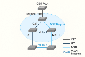 MSTP Protocol Explained: MST Regions, CIST, IST & VLANs